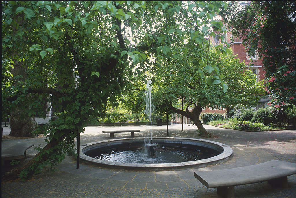 Fountain Court south tree | Morus Londinium