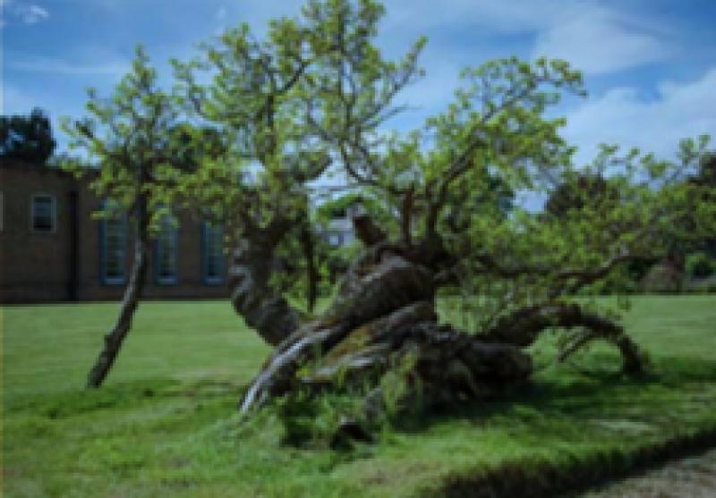 St. Michael's Convent, Ham Common | Morus Londinium